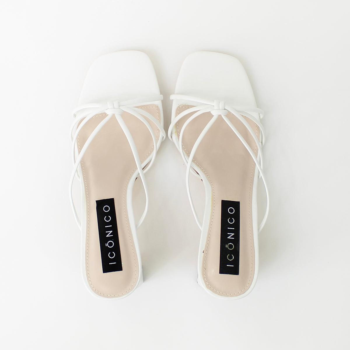 Edith Blanco – ICŌNICO